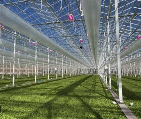 Controlled Environment Agriculture Cultivating The Future