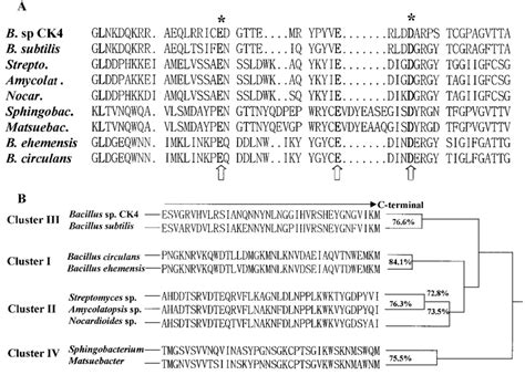 A Alignment Of Putative Catalytic N Terminal Segments Of Bacterial Download Scientific
