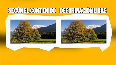 Aprende A Escalar Sin Deformar YouTube