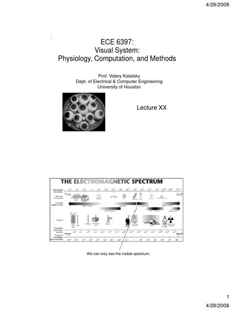 Pdf 00 Human Visual System Overview Dokumentips