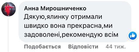 🇺🇦 Укр Хата Преміум ялинка з засніженими кінчиками