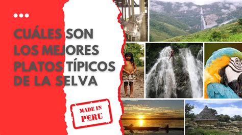 Cuáles Son Los Mejores Platos Típicos De La Selva Impulsa Tu Futuro