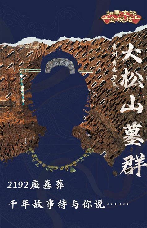领队说考古：大松山墓群里的“最炫民族风”贵州装饰品文物