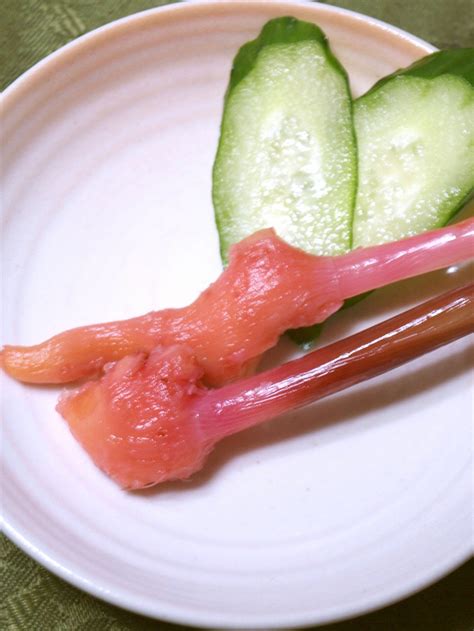 葉しょうがの梅酢漬け（簡単紅生姜） By めぐみの郷 【クックパッド】 簡単おいしいみんなのレシピが348万品