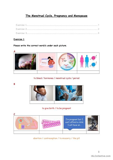 Periods Menstruation Menstrual Cyc English Esl Worksheets Pdf And Doc