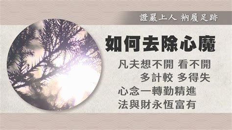 證嚴上人衲履足跡 法藥醫心清淨無明 20231111 YouTube