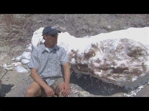 Utah Travel Headlines Help Needed To Move Dinosaur Fossils