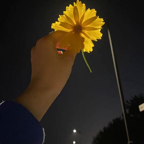 欧洲能源策略面临考验：俄气依赖度上升，美国出口转向俄罗斯天然气液化