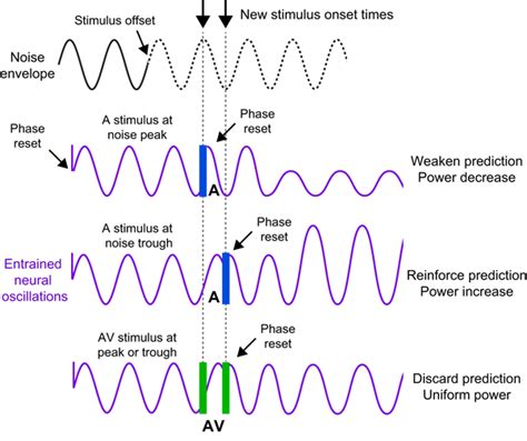 Model Of Oscillatory Reliability Encoding Neural Oscillations Are