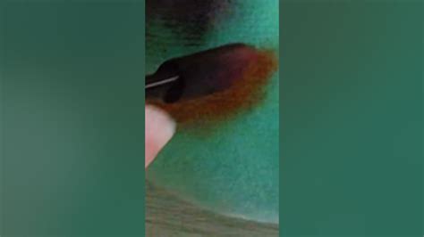 Haters Say Its Ugly 🙄 Squishmallows Youtube