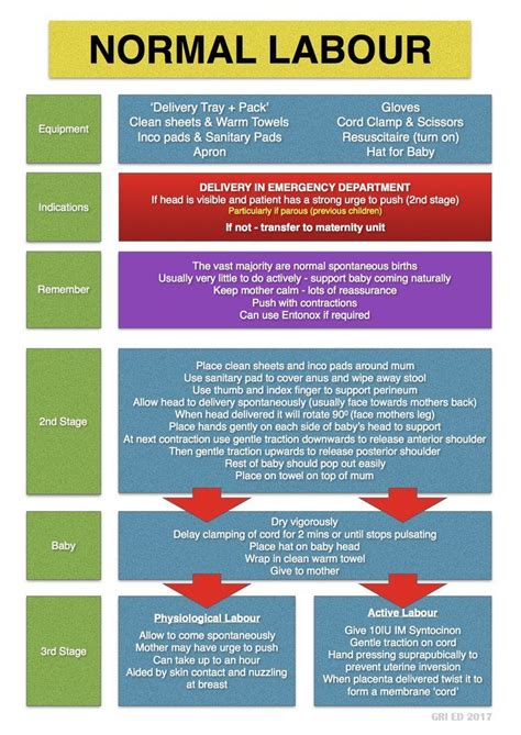 Normal Labour Artofit