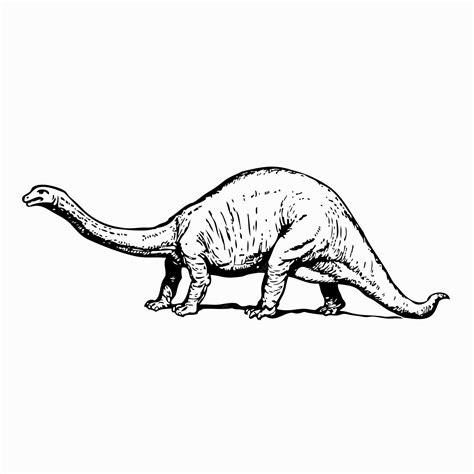 Premium Vector Dinosaur