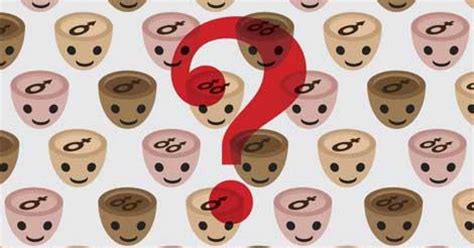 Mon Cerveau A T Il Un Sexe Un Documentaire In Dit Le Juin Sur France Premiere Fr