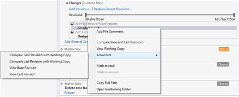 Comparing Different Revisions Of File