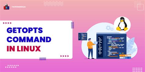 Best Online Linux Terminals And Bash Script Editors To Use In