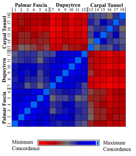 Concordance Analysis Of Individual Sample Profiles Of Gene Expression
