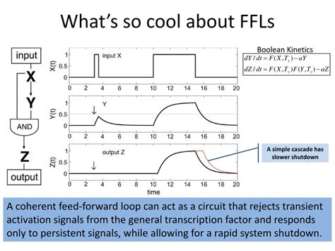 Ppt Biological Networks Analysis Degree Distribution And Network Motifs Powerpoint