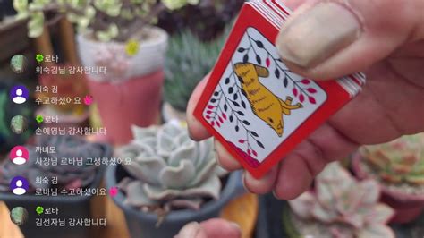 혜인짱다육 겨울동안오후7시방송합니다♡♡01057584988 카드환영합니다 Youtube