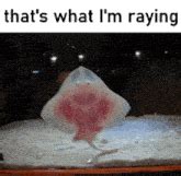 Ray S