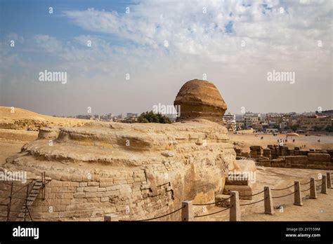 Sphinx Egypt Portrait Portrait Of The Great Sphinx Of Egypt Close