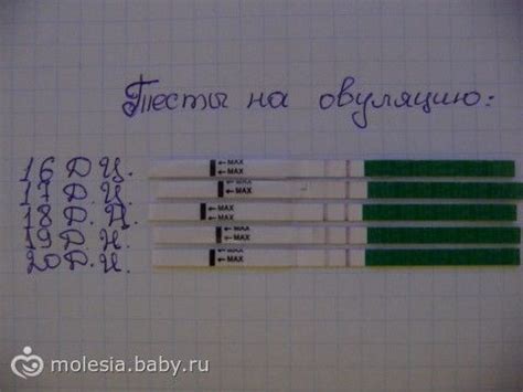 Тесты На Овуляцию Фото – Telegraph