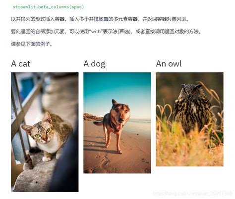 Python︱写markdown一样写网页，代码快速生成web工具：streamlit Lay Out布局（四）streamlit怎么布局