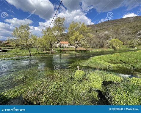 The Springs Of The Gacka River Klanac Spring Croatia Izvori Rijeke Gacke Ili Vrila Gacke