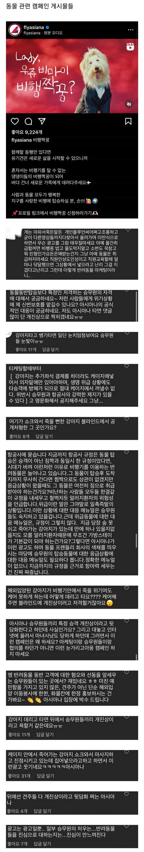 아시아나 항공 인스타 댓글 상황 인스티즈instiz 이슈 카테고리