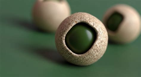 Planetary Boundary Costs → Term