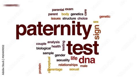 Paternity Test Animated Word Cloud Text Design Animation Stock Video Adobe Stock