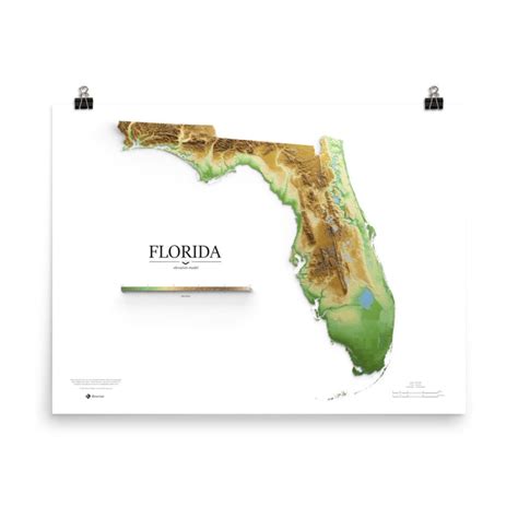 Florida Elevation Map Poster Etsy