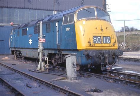 British Rail Class 43 Warship Class Wikipedia 53 Off