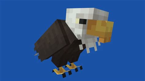 Nm Bald Eagle 3d Models Sketchfab