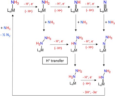 N N Bond Formation And N2 Generation Via Nh3 Nucleophilic Attack On