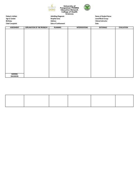 Ncp Template 2 Pdf