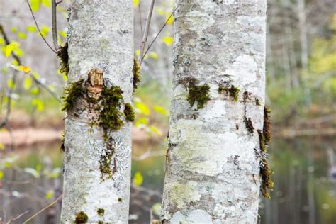 Recompose Community Fund Recompose