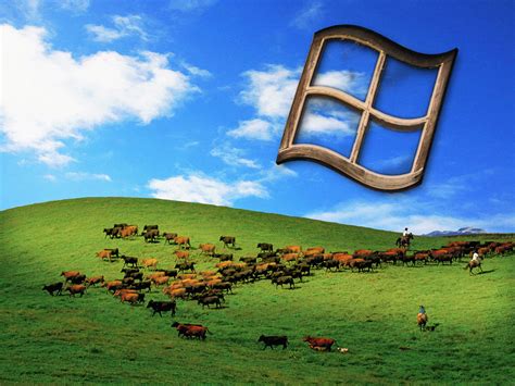 100 Imágenes de Windows Xp Wallpapers