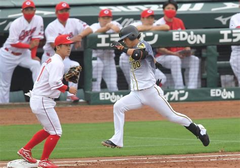 阪神＆広島 上本兄弟がともに2番・二塁 同時スタメン出場は初野球デイリースポーツ Online