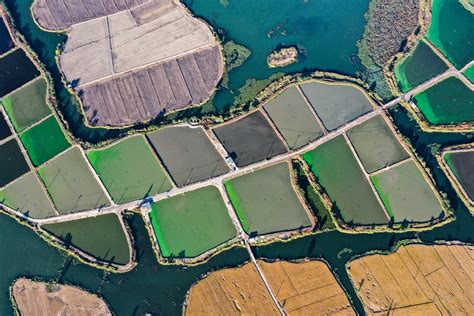 组图丨浙江绍兴：千年“湿”画千般韵 稽山鉴水总传情 新华网