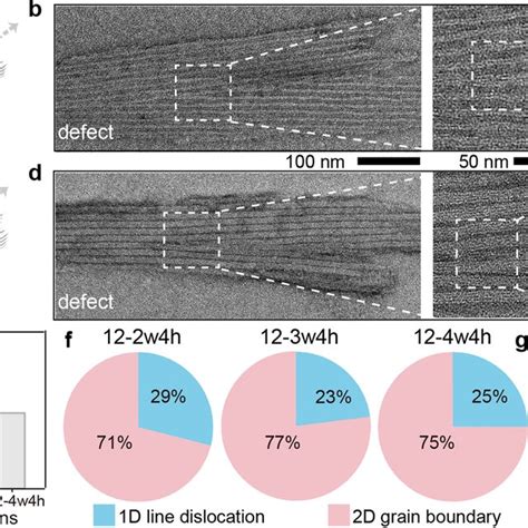 Crystallographic Defects For Different Line Designs Design Schematic A Download Scientific