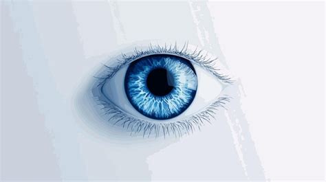 Professional Hide Show Password Eye Icon For Text Fields Vector