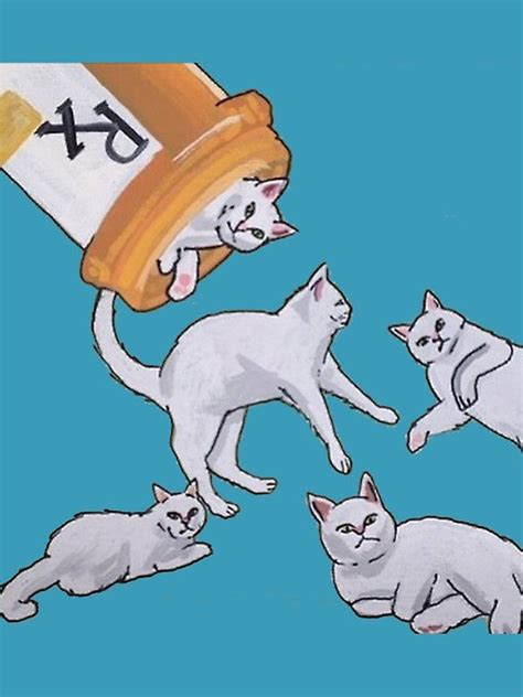 45 Fantastic Feline Memes Proving Once Again That Cats Rule The