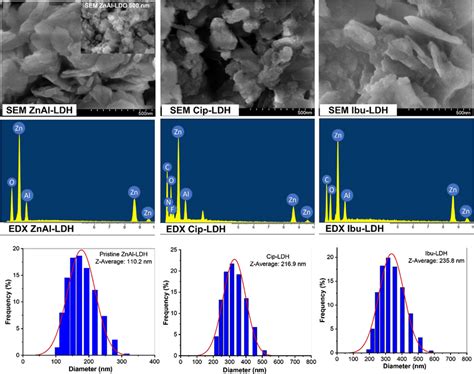 Sem Photographs Edx Spectra And The Particle Size Distributions Of The