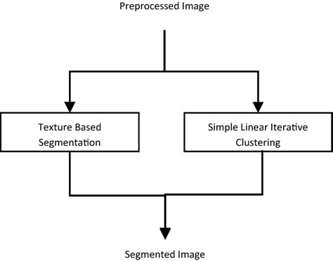 Flow Chart For Segmentation Of Preprocessed Image Download Scientific