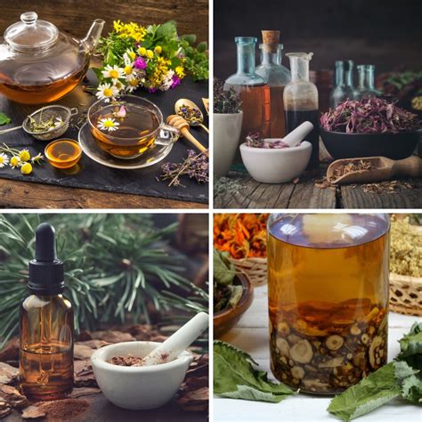 Healing With Plants The Power Of Adaptogenic Herbs The Outdoor