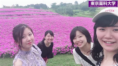 東薬campusclip（在学生インタビュー 薬学部5年） Youtube