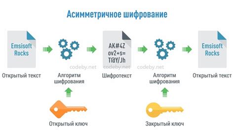 Основные принципы работы службы криптографии в операционной системе Windows 10 Инструкции по