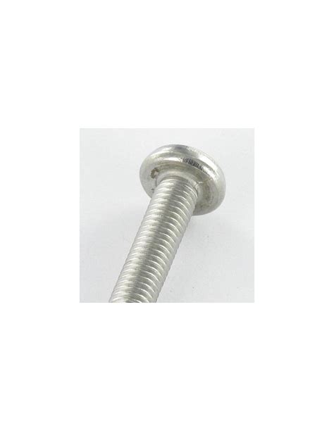 Tornillo Metales Seguridad Cabeza Cilíndrica Tc Serpiente Ojo M4x20