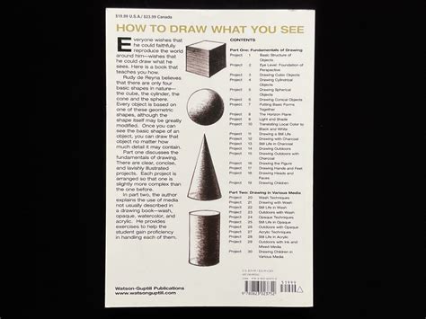 How To Draw What You See By Rudy De Reyna