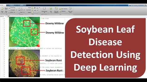 Soybean Leaf Disease Detection Using Deep Learning Soybean Plant